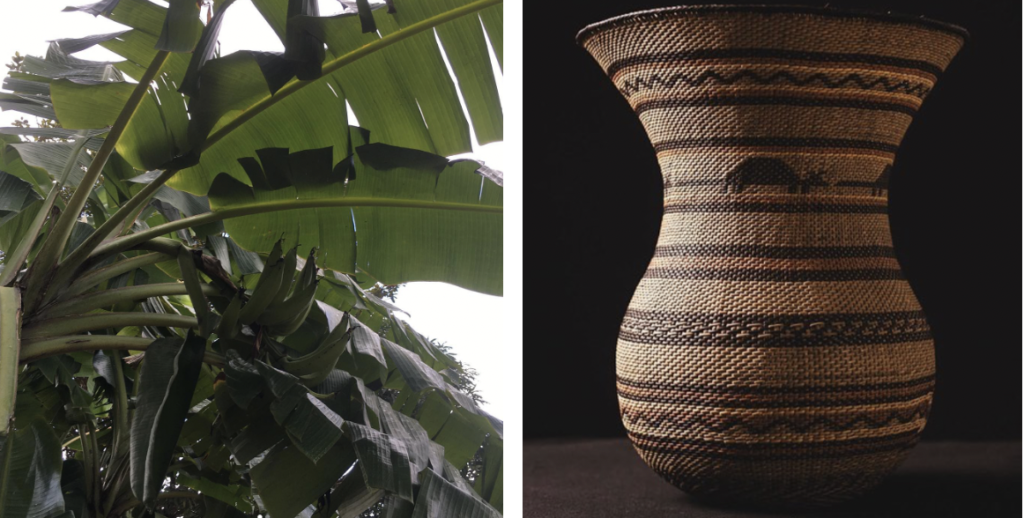 Yekuana Baskets Make It to Milan’s Salone Satellite | Caracas Chronicles